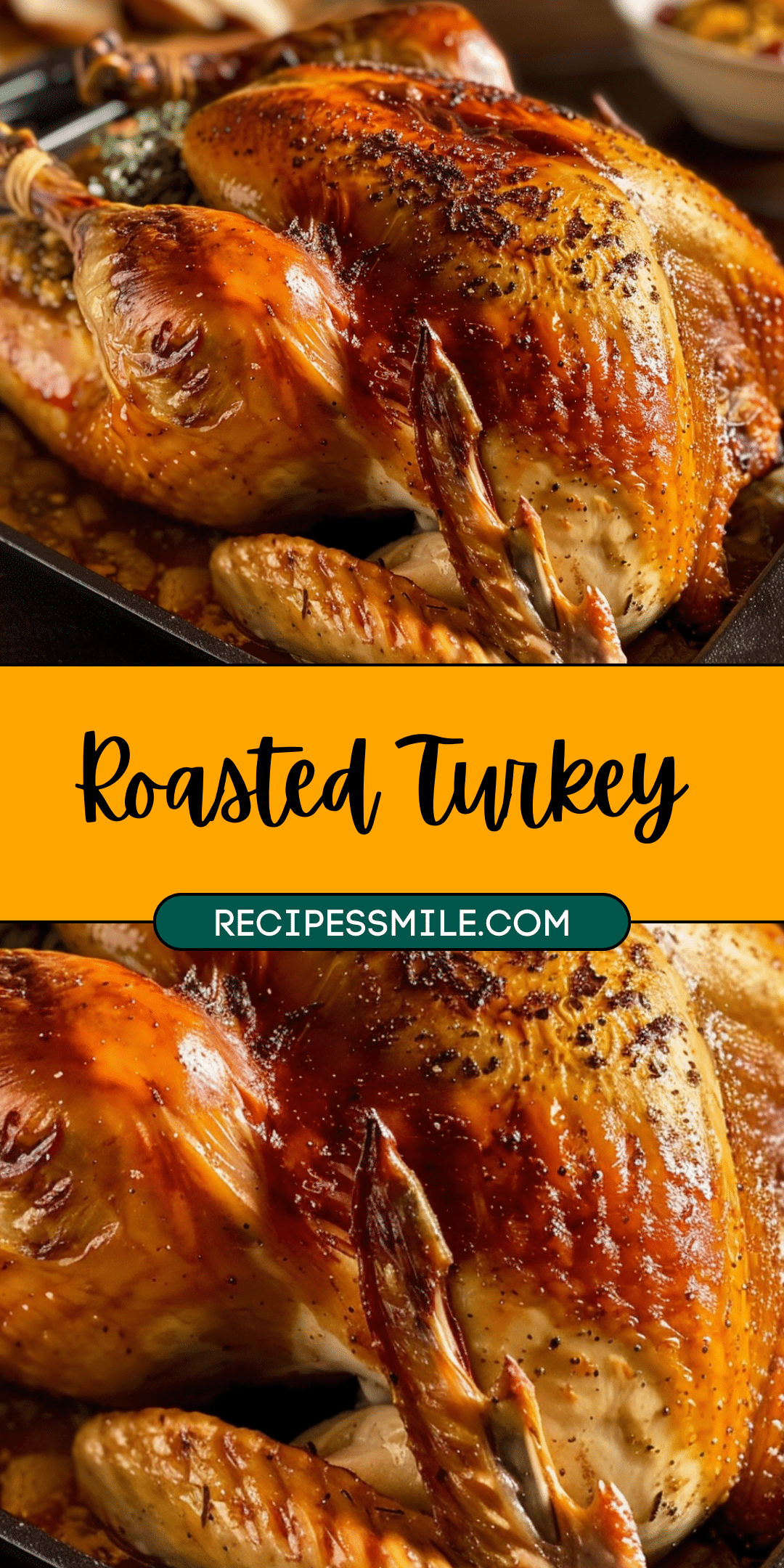 Roasted Turkey - Recipes Smile