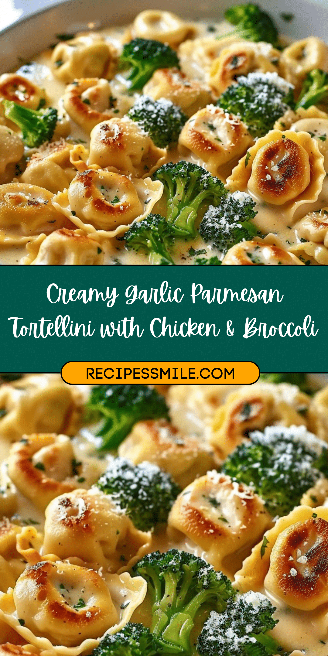 Creamy Garlic Parmesan Tortellini with Chicken & Broccoli - Recipes Smile