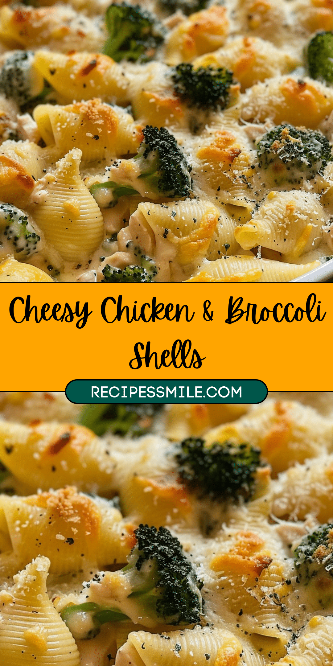 Cheesy Chicken & Broccoli Shells - Recipes Smile