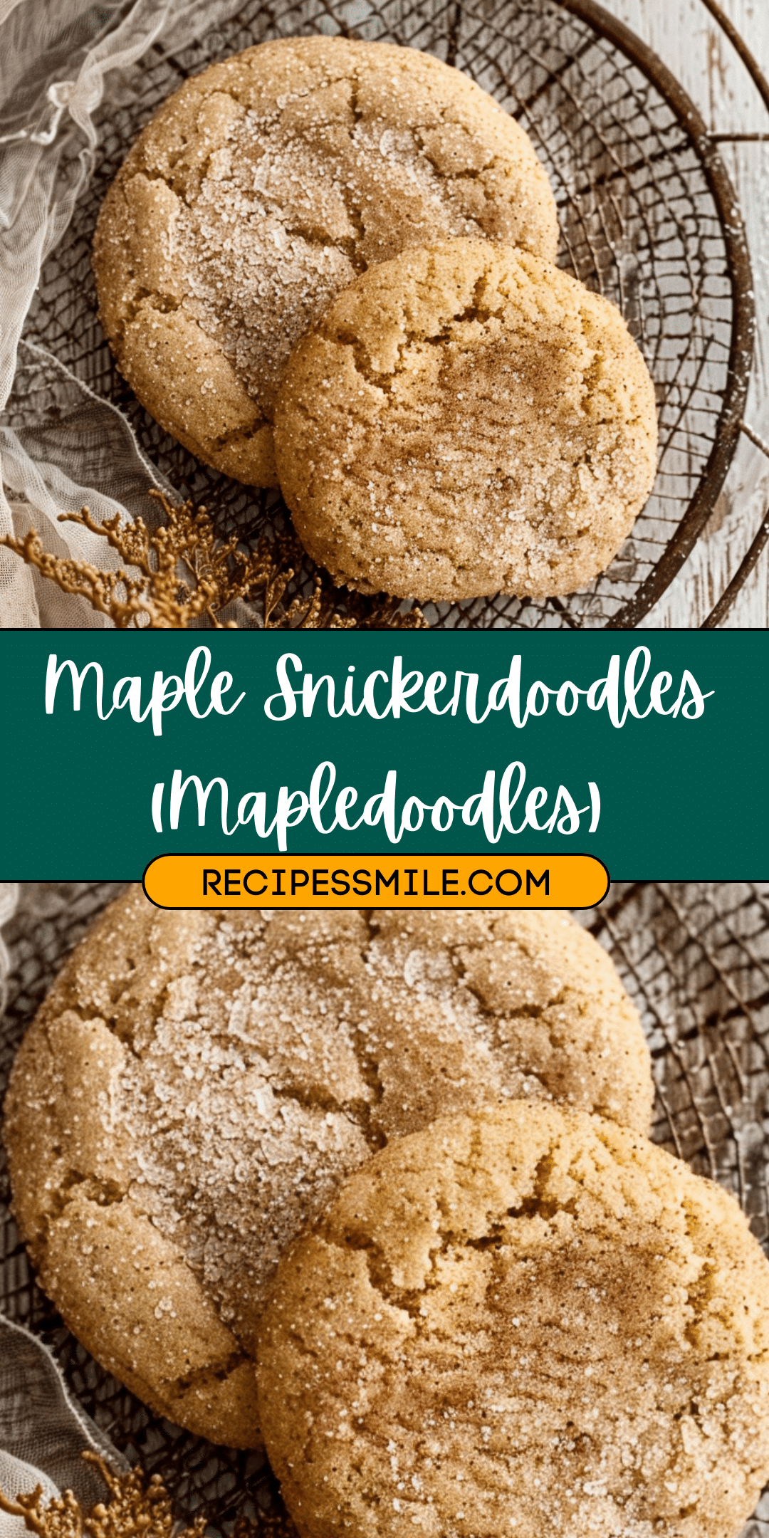 Maple Snickerdoodles (Mapledoodles) - Recipes Smile