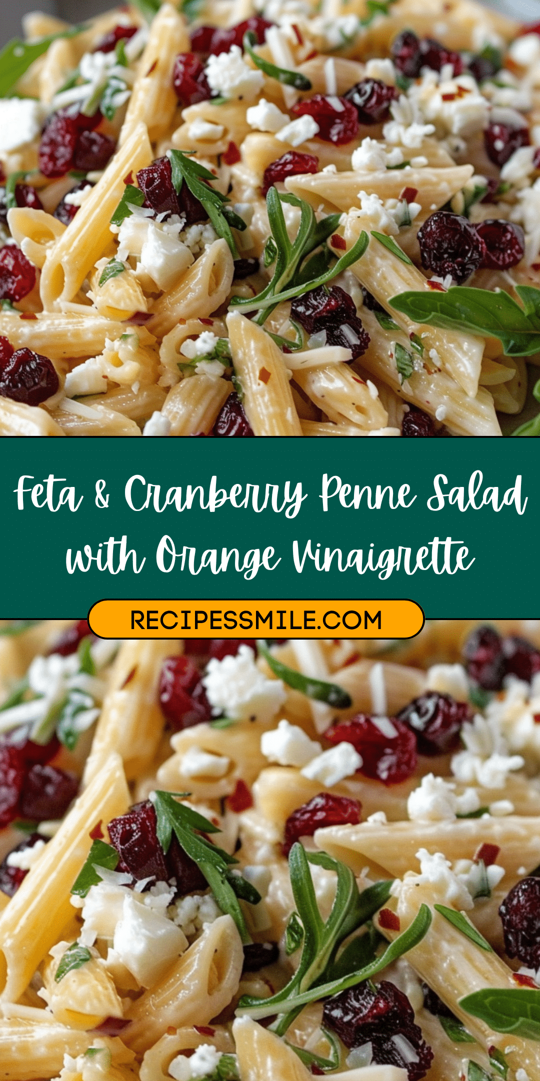 Feta & Cranberry Penne Salad with Orange Vinaigrette - Recipes Smile